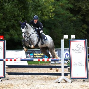 Springpferde – Pferdeservice Karle